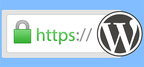 How to enable SSL Certificate on WordPress Dashboard?